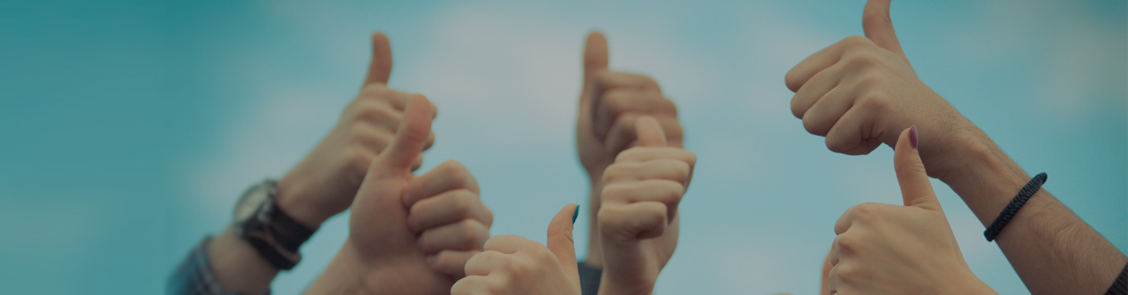 More than 40 years of Trust and Quality